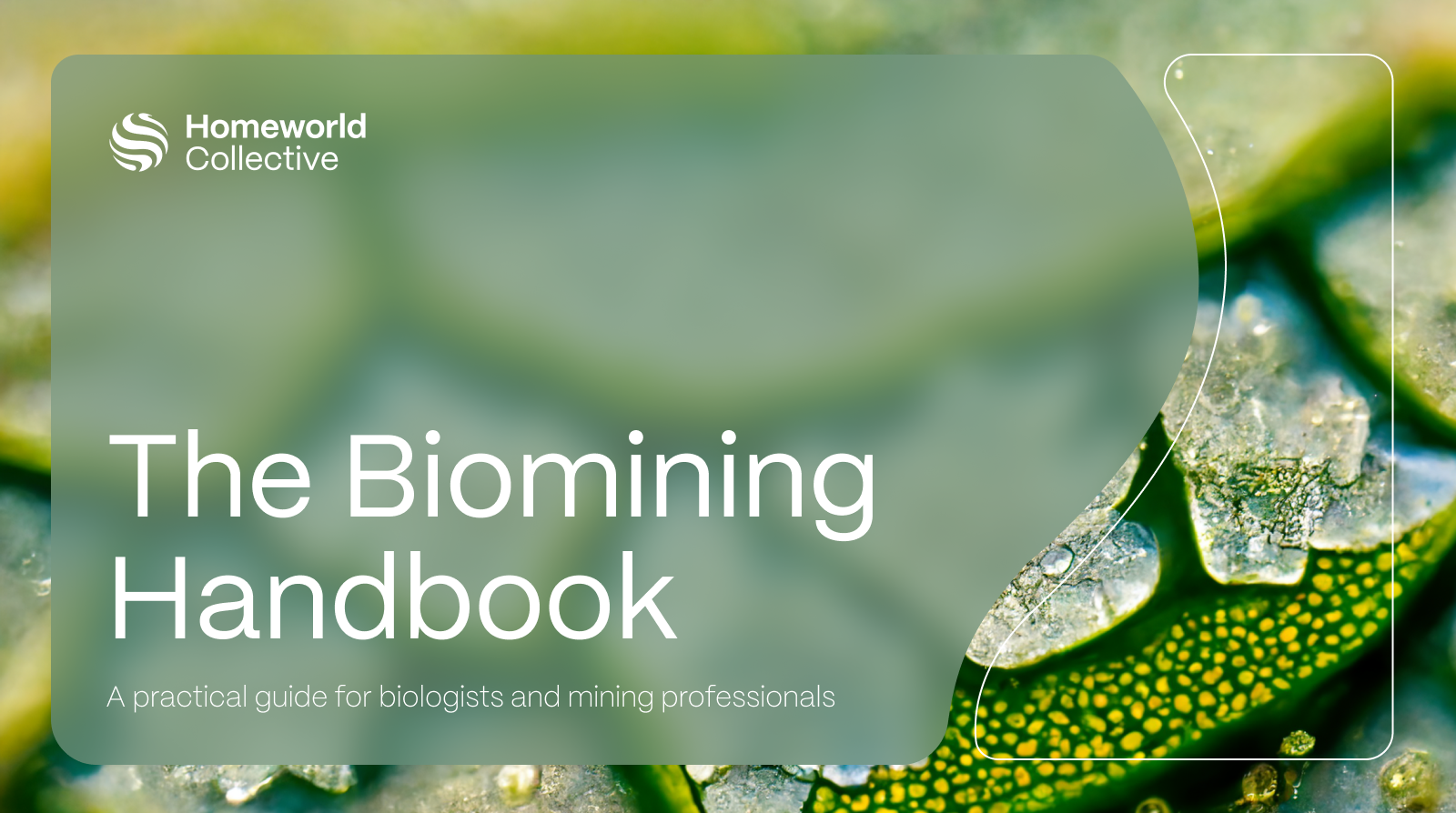 The Biomining Handbook - A Practical Guide for Biologists and Mining ...